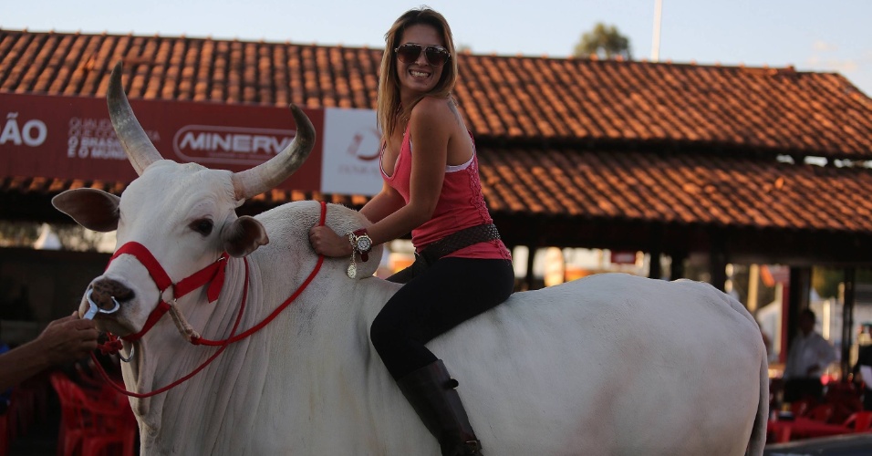 Papel de parede para PC touro de rodeio - Imagui
