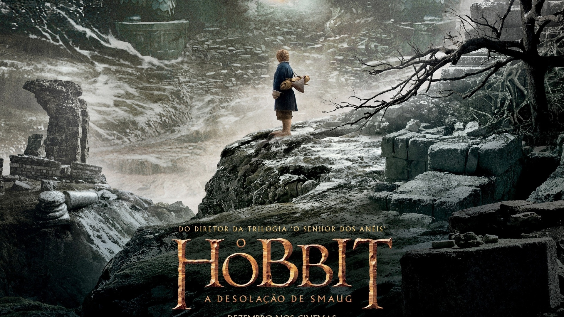 O HOBBIT – A DESOLAÇÃO DE SMAUG | O TEXTO É GRANDE, MAS É BOM...