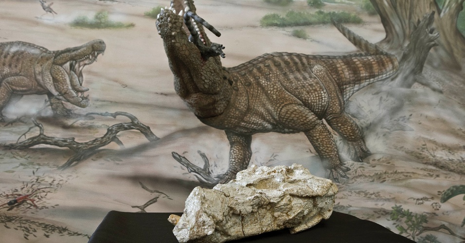 Sahitisuchus, the elusive Itaborai sebecid by Zimices on DeviantArt